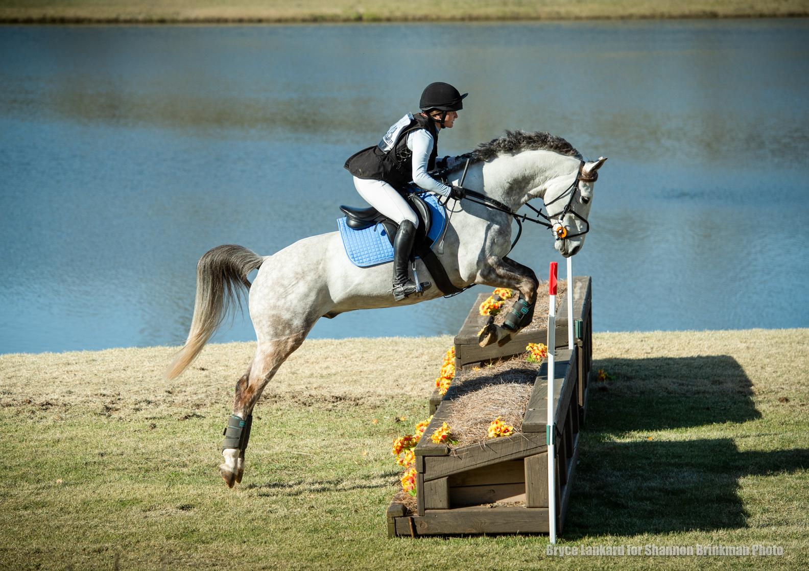 Christopher GS Warmblood Cross Jumper