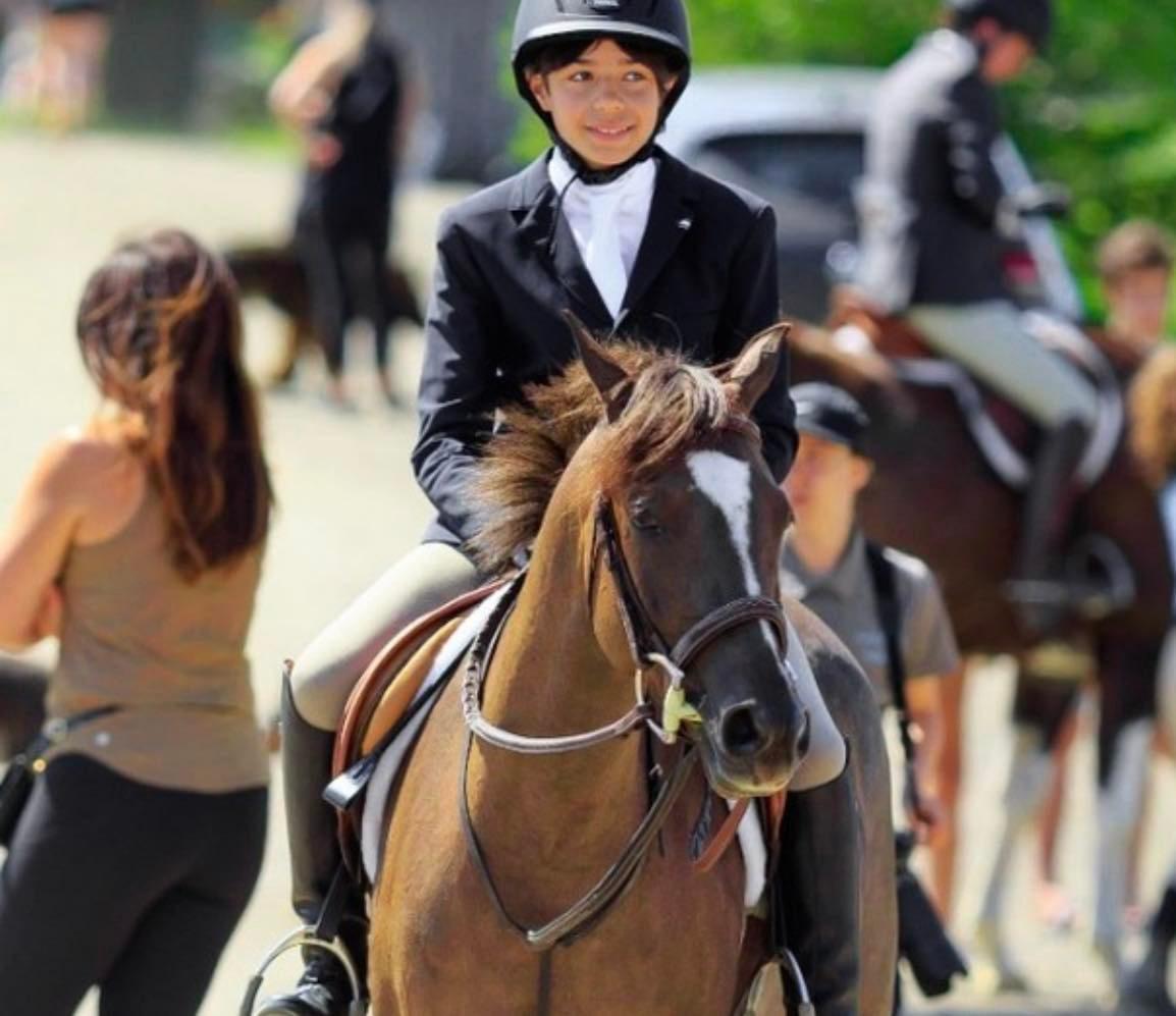 Ulterra Thumbalina Welsh Pony Hunter