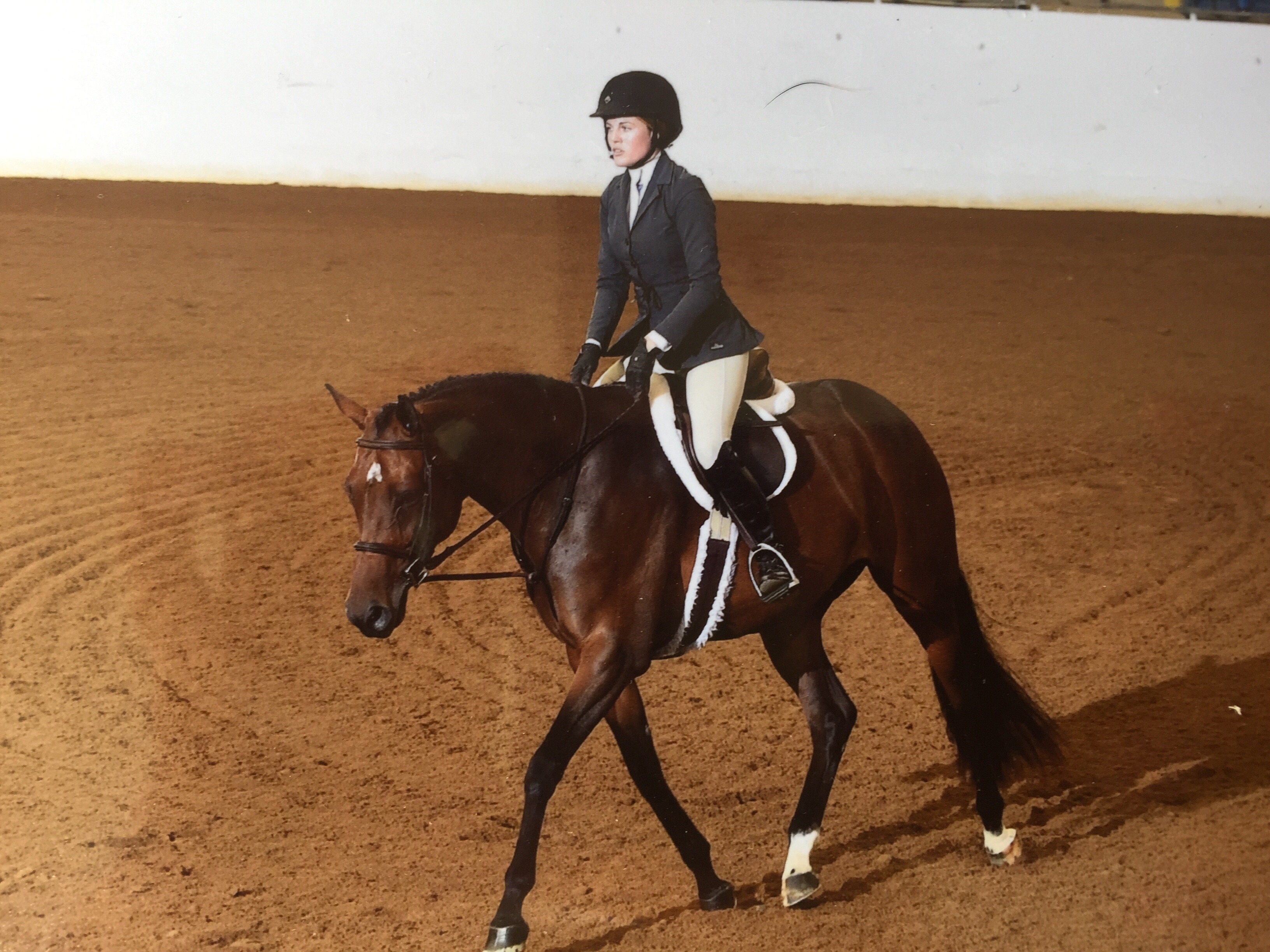 Parrot Bay Appendix Hunter