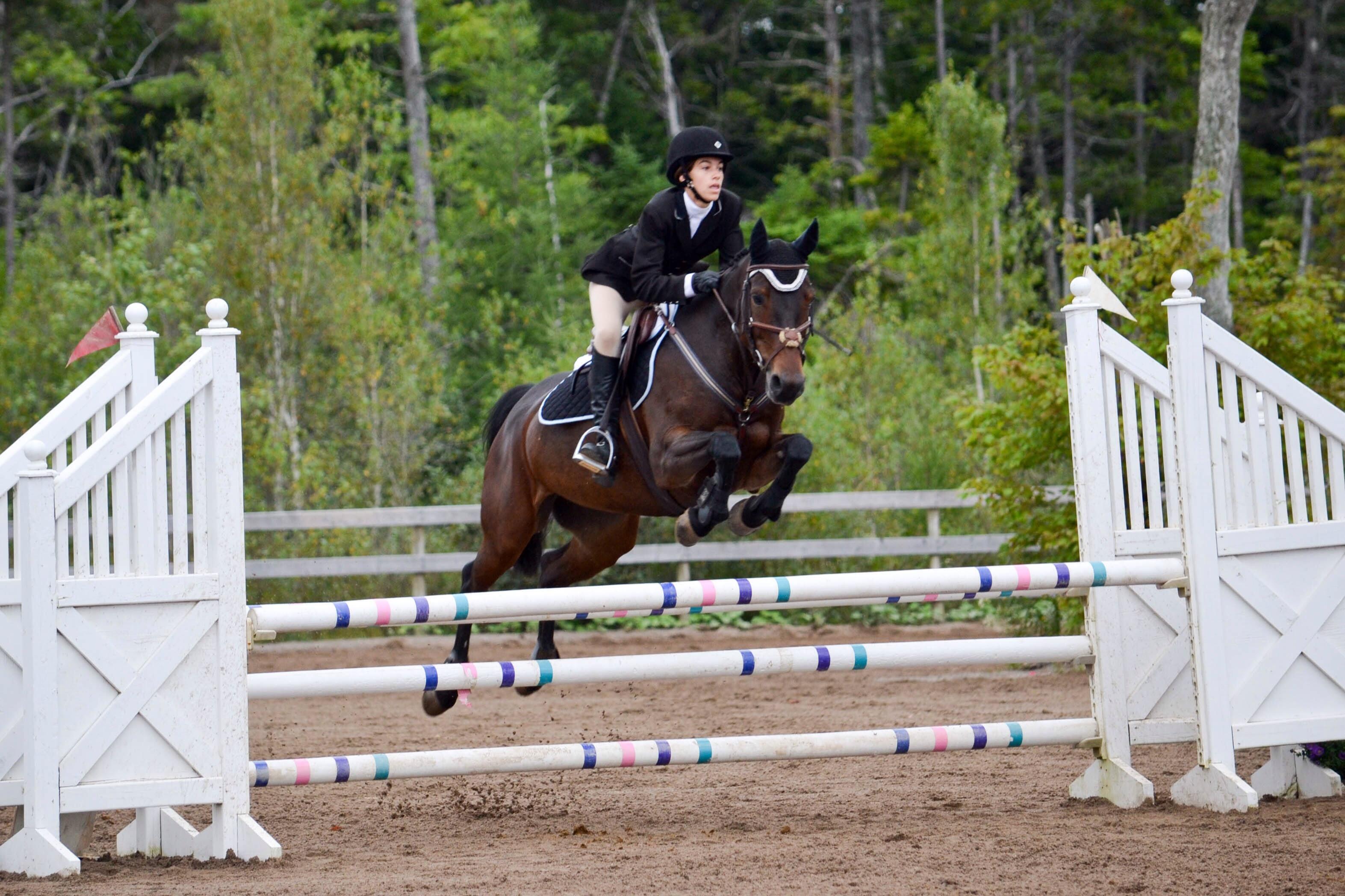 Ever So Clever Quarter Pony Jumper