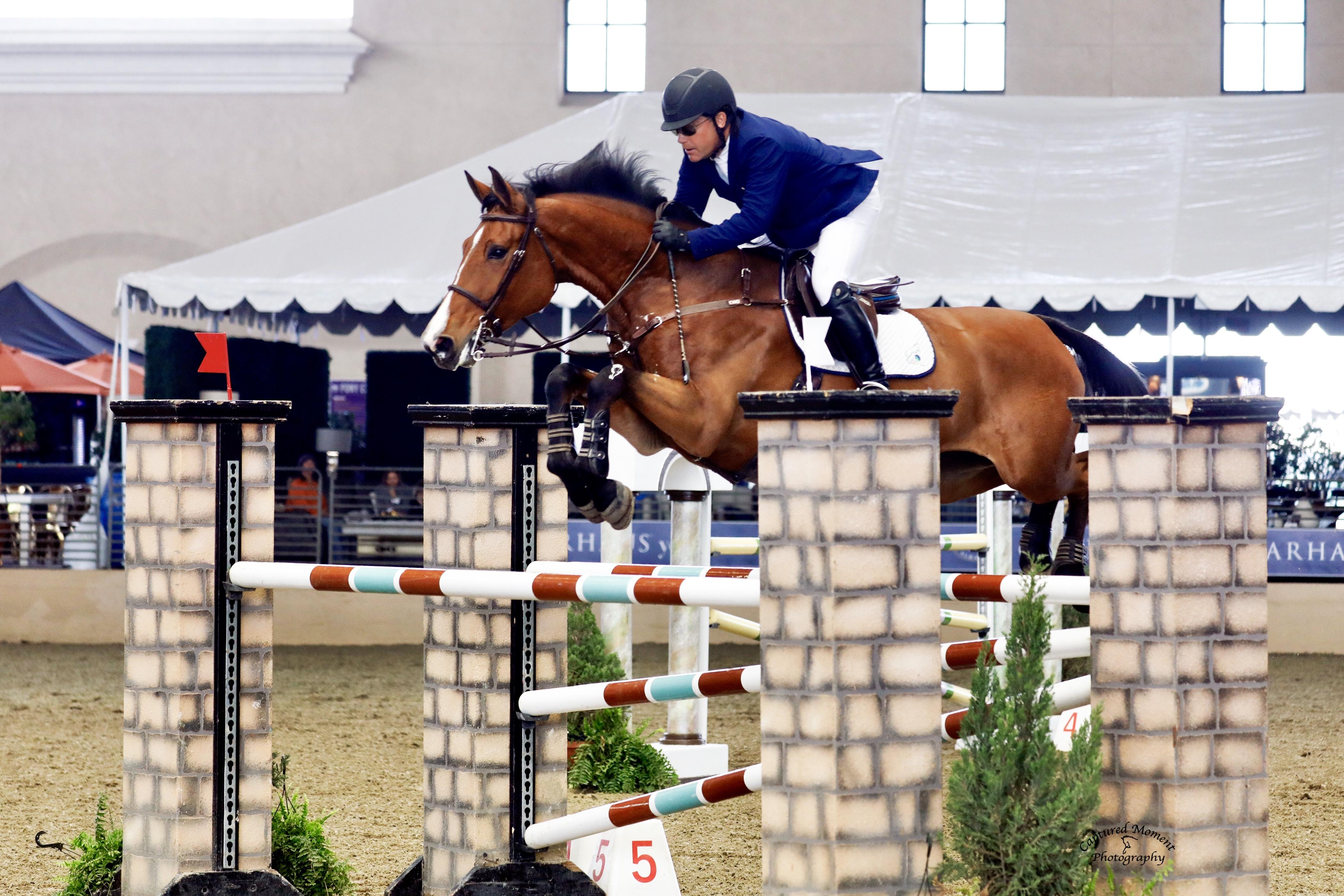 Lombelle Holsteiner Jumper