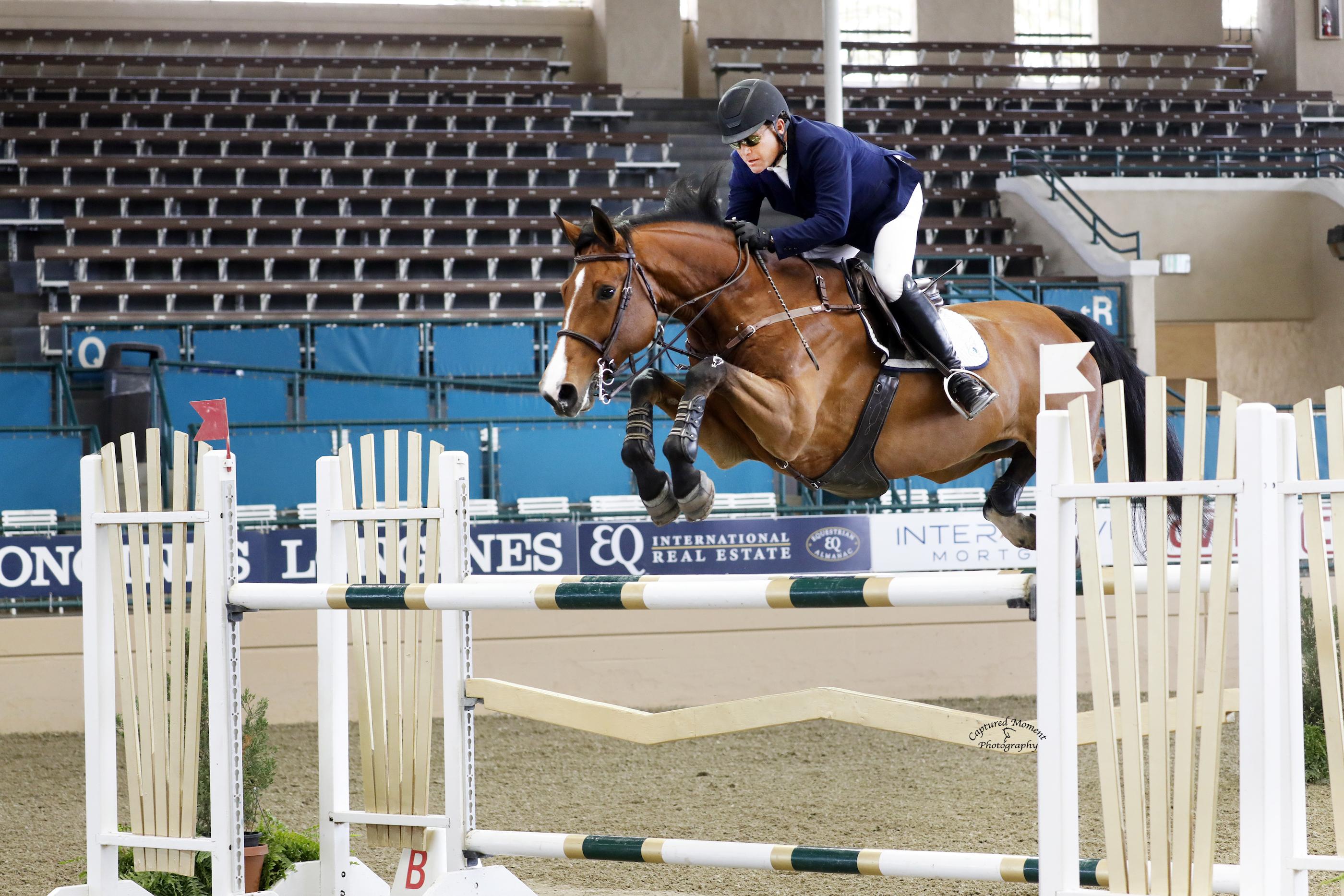 Lombelle Holsteiner Jumper